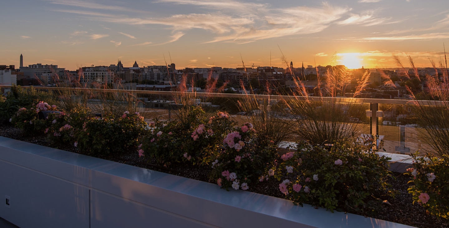 Roadside | Meet Our Team